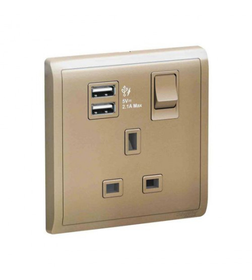 13A 1G Sw Socket with 2.1A USB ,WE ,WG